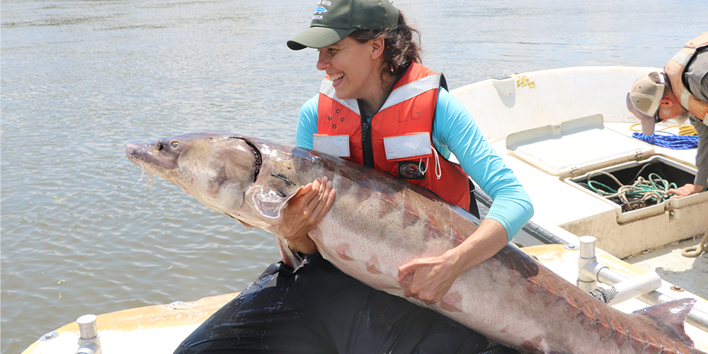 Working as an environmental educator