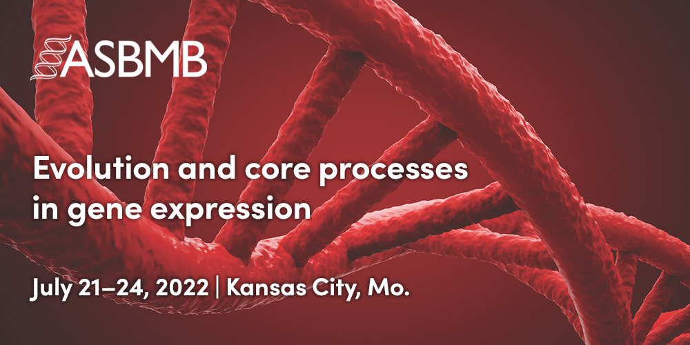 Evolution and core processes in gene expression