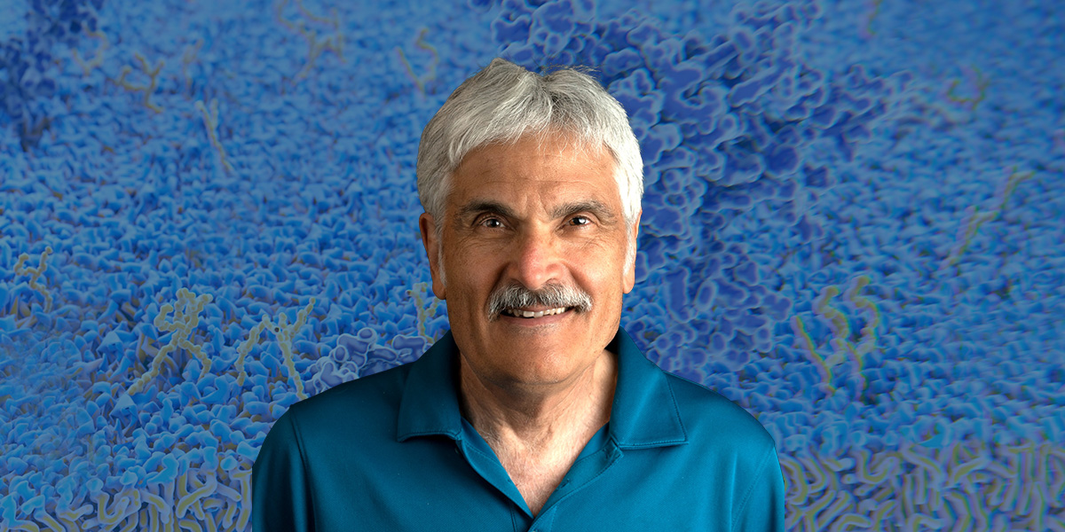 Attie named honorary professor