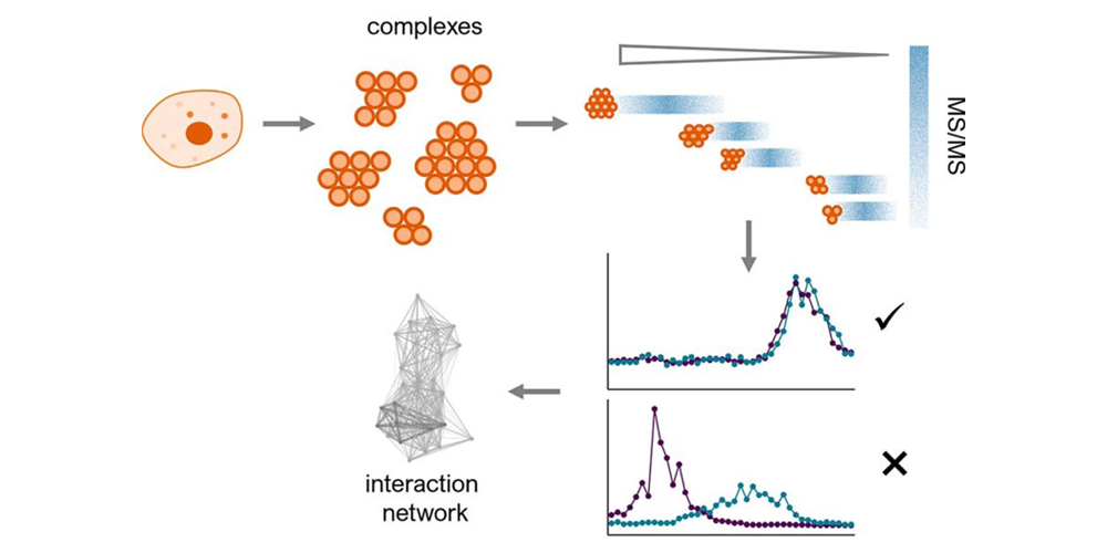 From the journals: MCP