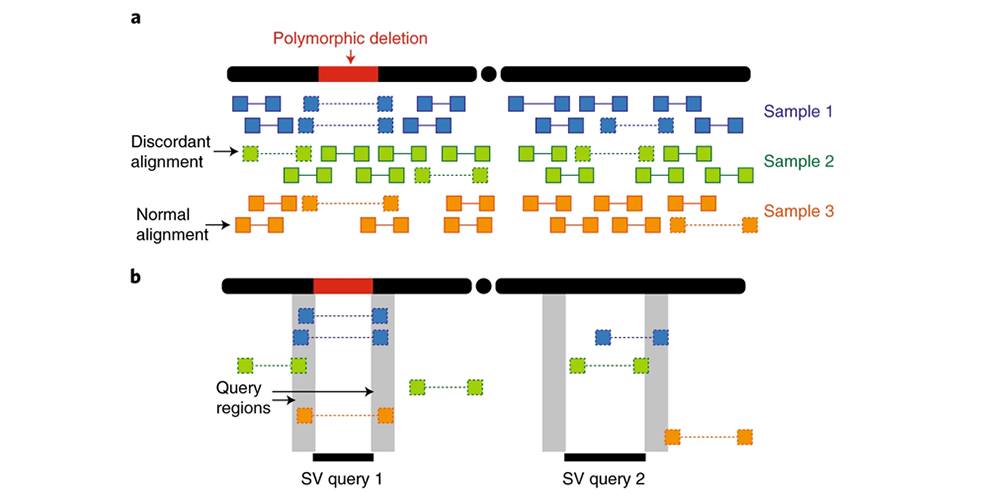 Genetic mutations can be benign or cancerous