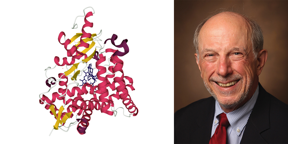 Guengerich proposes a paradigm shift in enzyme biochemistry