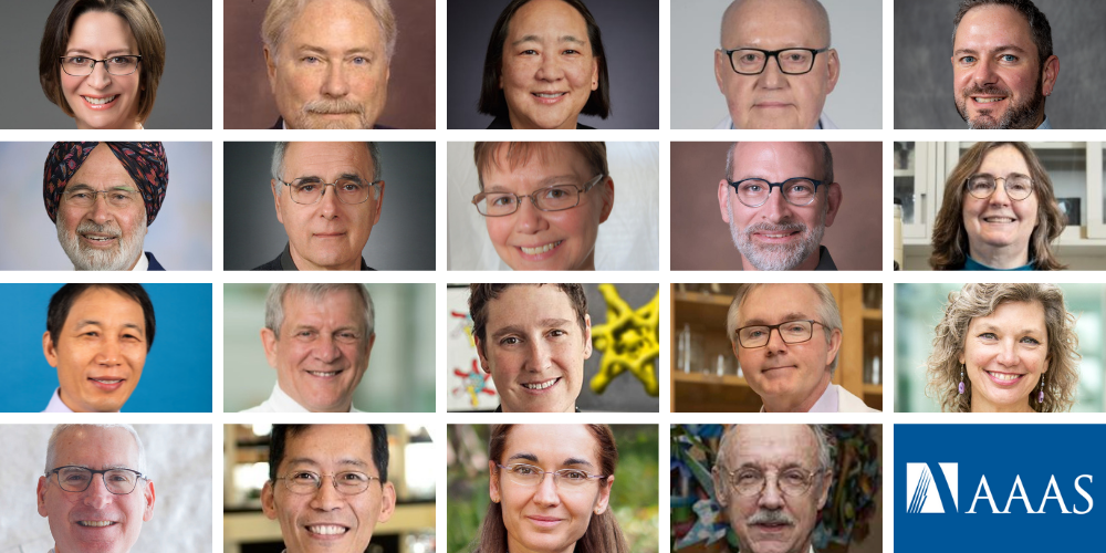 AAAS announces 2021 fellows