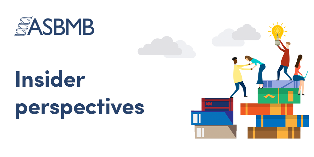 Insider perspectives