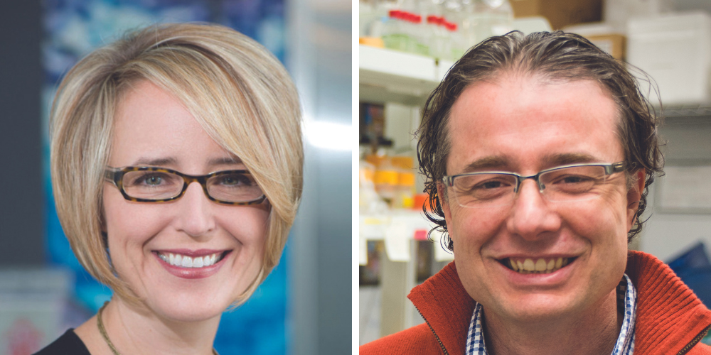 Greer moves to V Foundation; Gentry named chair at UF