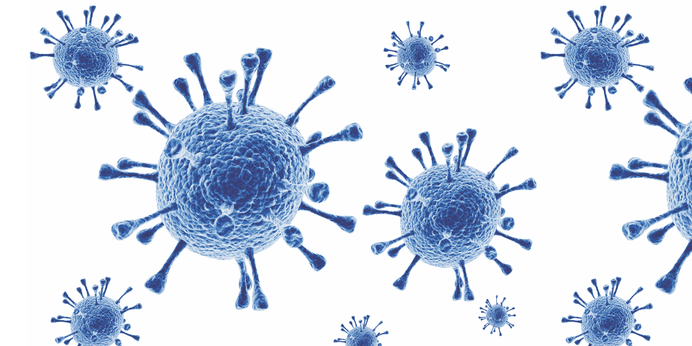 National Influenza Vaccination Week