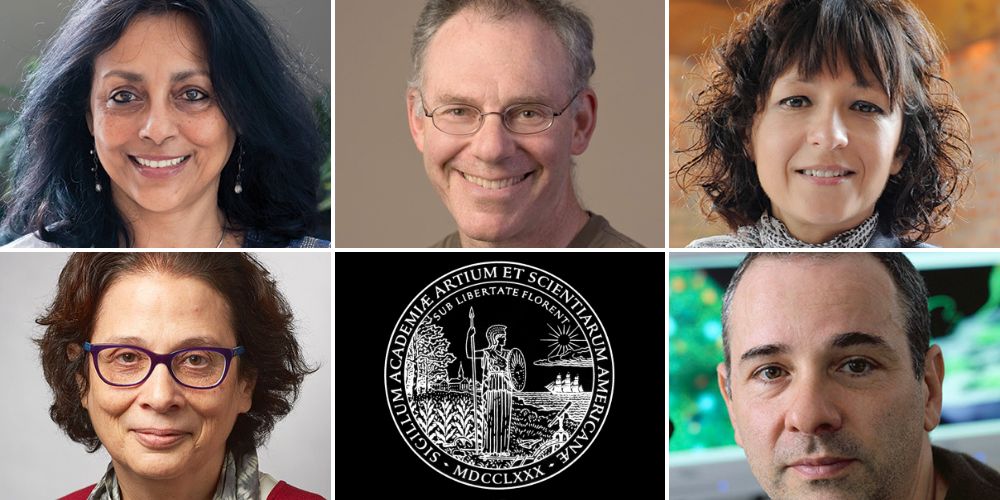 AAA&S names 2023 members