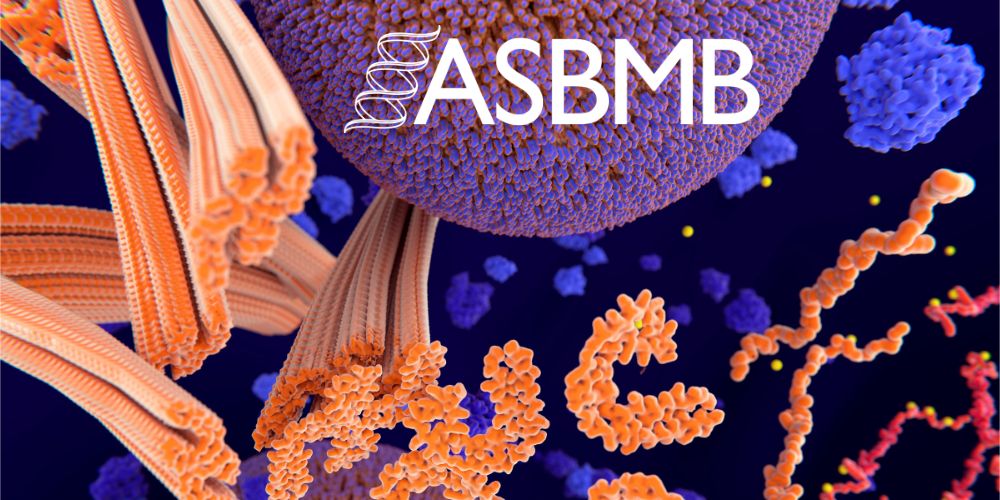 ASBMB committees welcome new members