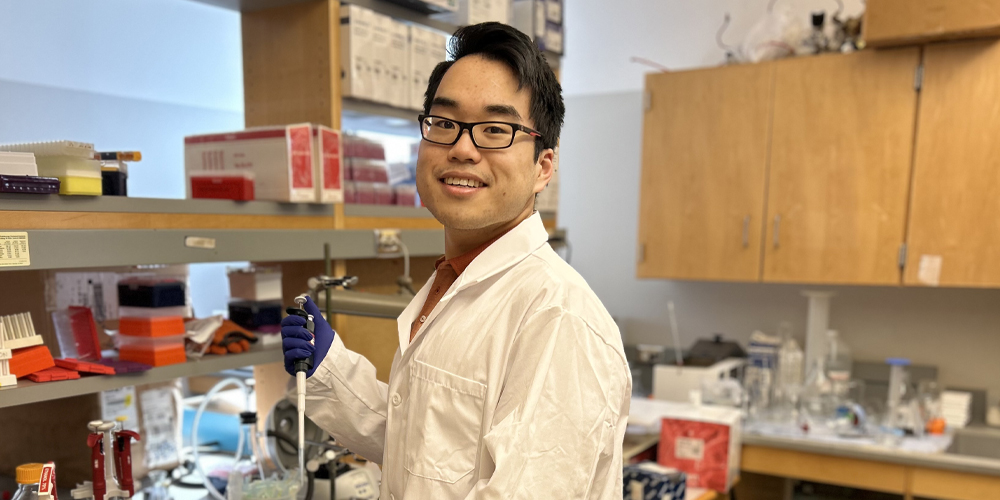 The researcher and the roaches