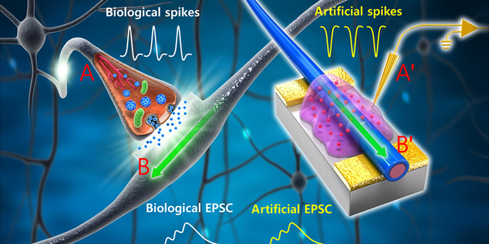 Making computer chips act more like brain cells