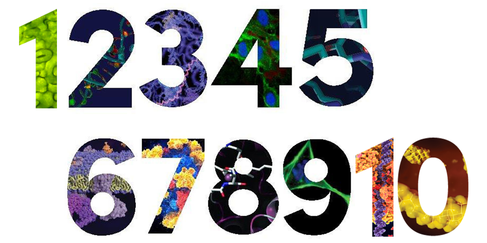 Our top 10 articles of 2020