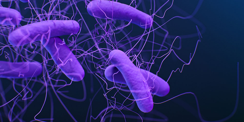 Scientists make critical progress toward preventing C. diff infections