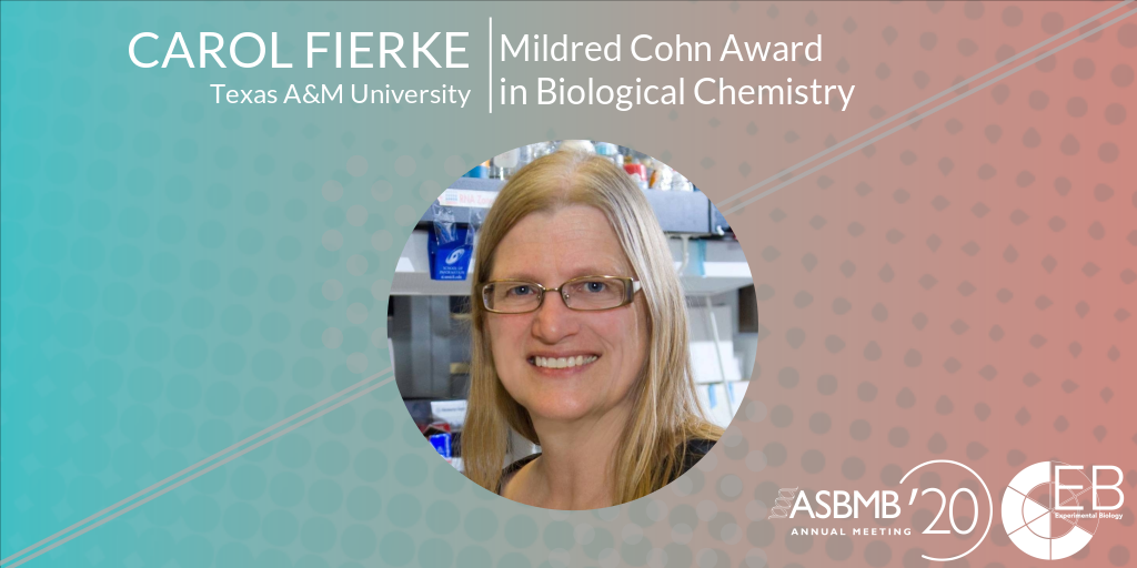 Fierke works as a catalyst for change