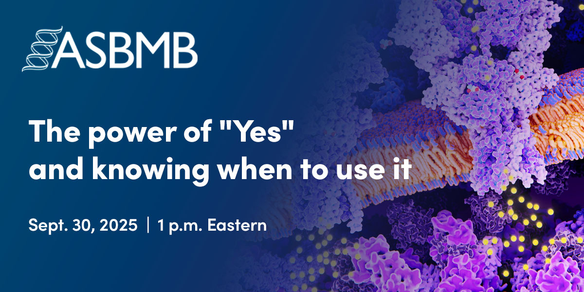 The power of "Yes" and knowing when to use it