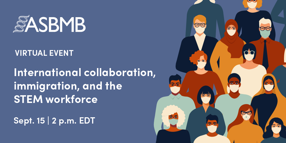 International collaboration, immigration and the STEM workforce