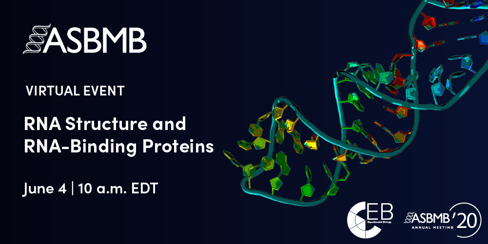 RNA structure and RNA binding proteins