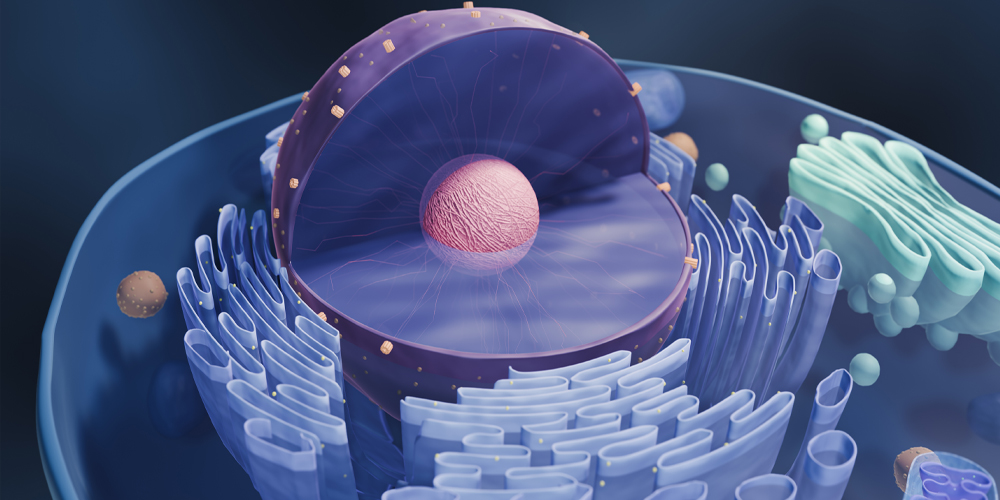 Where the heck did all those structures inside complex cells come from?