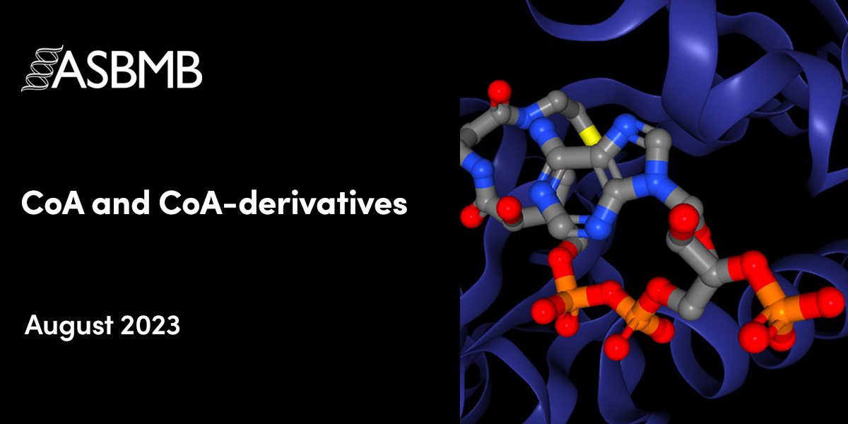 CoA and CoA-derivatives