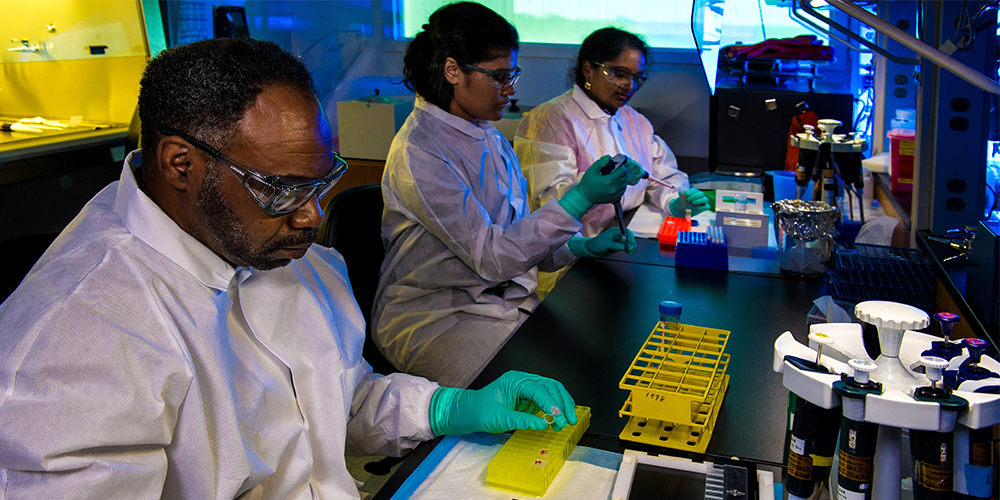 Investigating public health careers