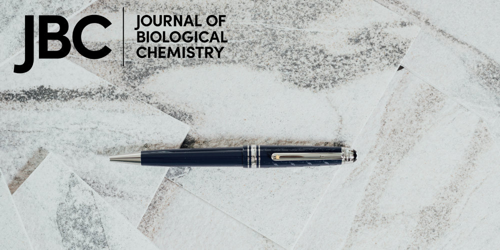 JBC: Award winners pen essays