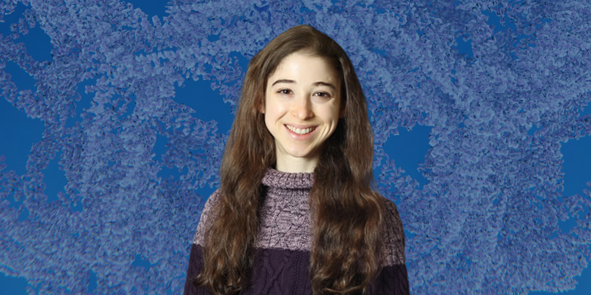 Bibel named assistant professor