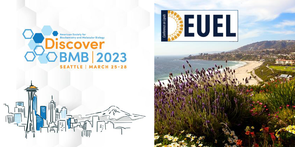 Calendar of events, awards and opportunities