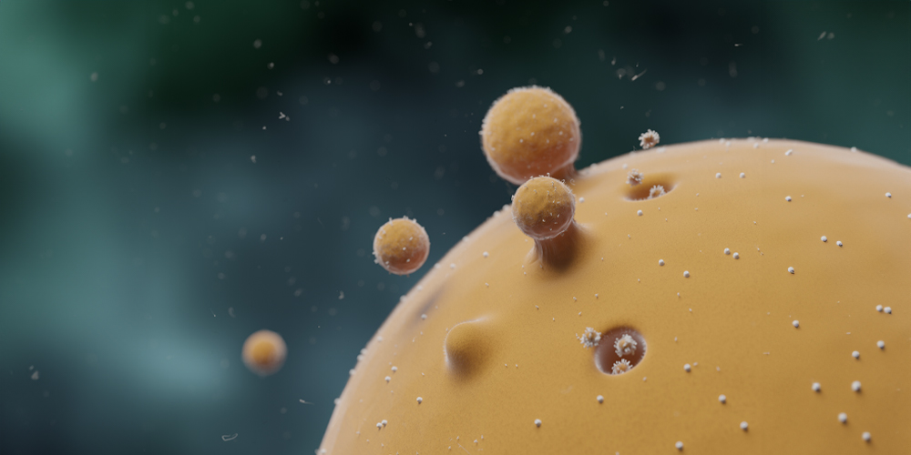 Cows offer clues to treat human infertility