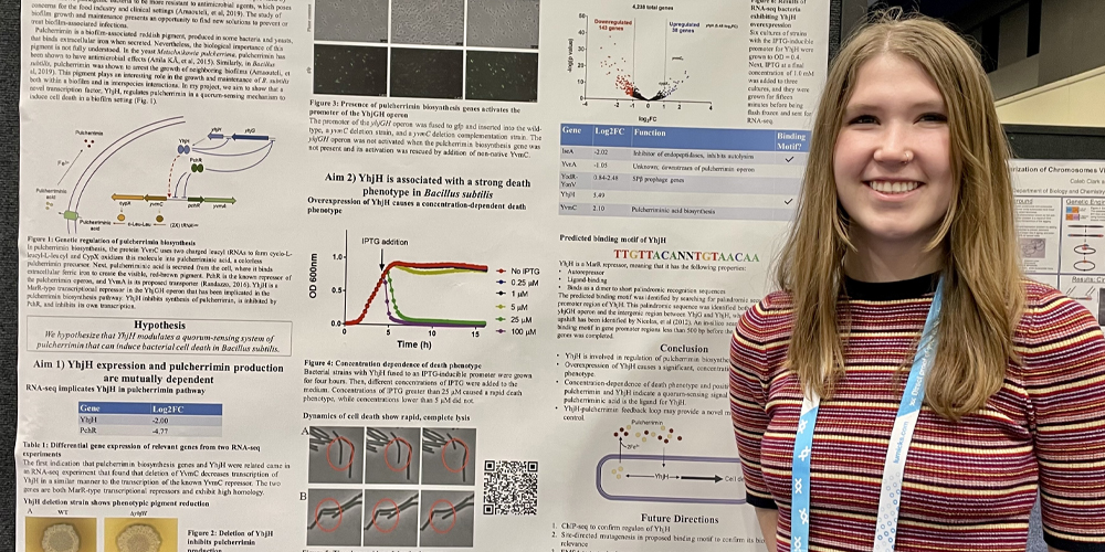 How to make a great poster