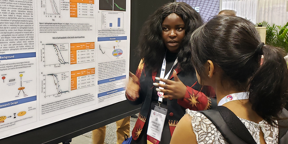 ‘We love to see the hard work of undergraduates come to life’