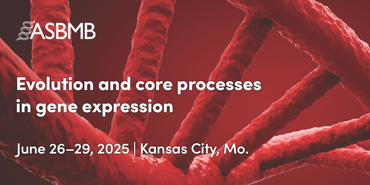 Evolution and core processes in gene expression