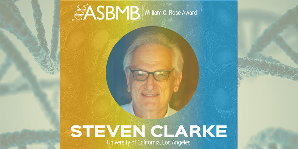 Clarke stands out with seminal discoveries in protein methylation and ...