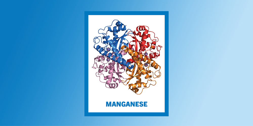 Manganese seldom travels alone