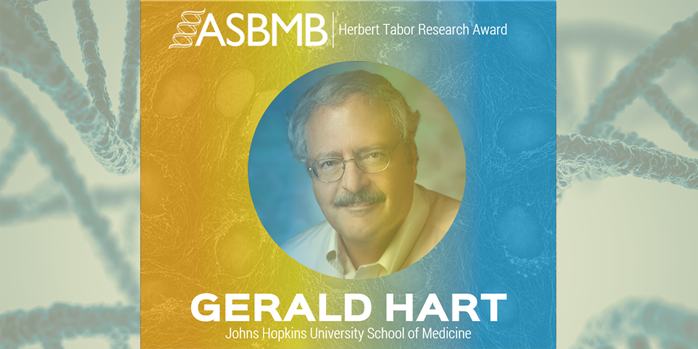Hart honored for glycobiology breakthroughs