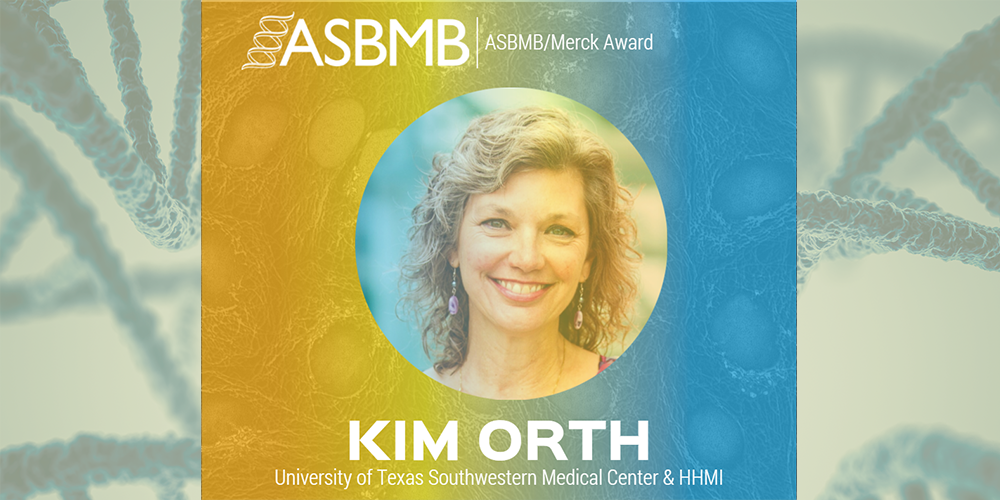 Orth a ‘scientific trailblazer’ in the field of bacterial pathogenesis