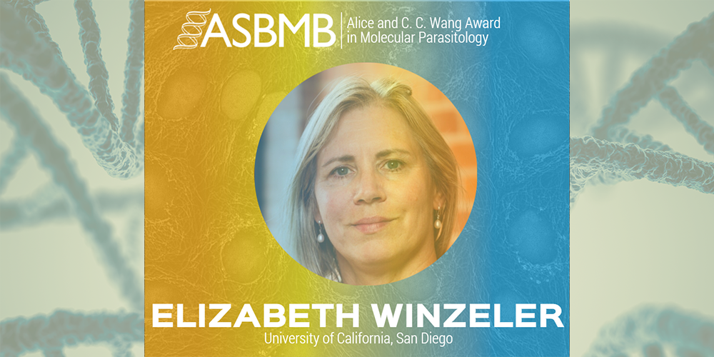 Winzeler honored for leadership, antimalarial drug-discovery work