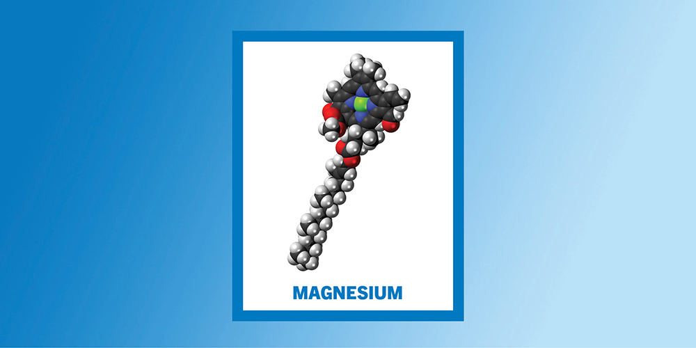 For October, magnesium helps the leaves stay green